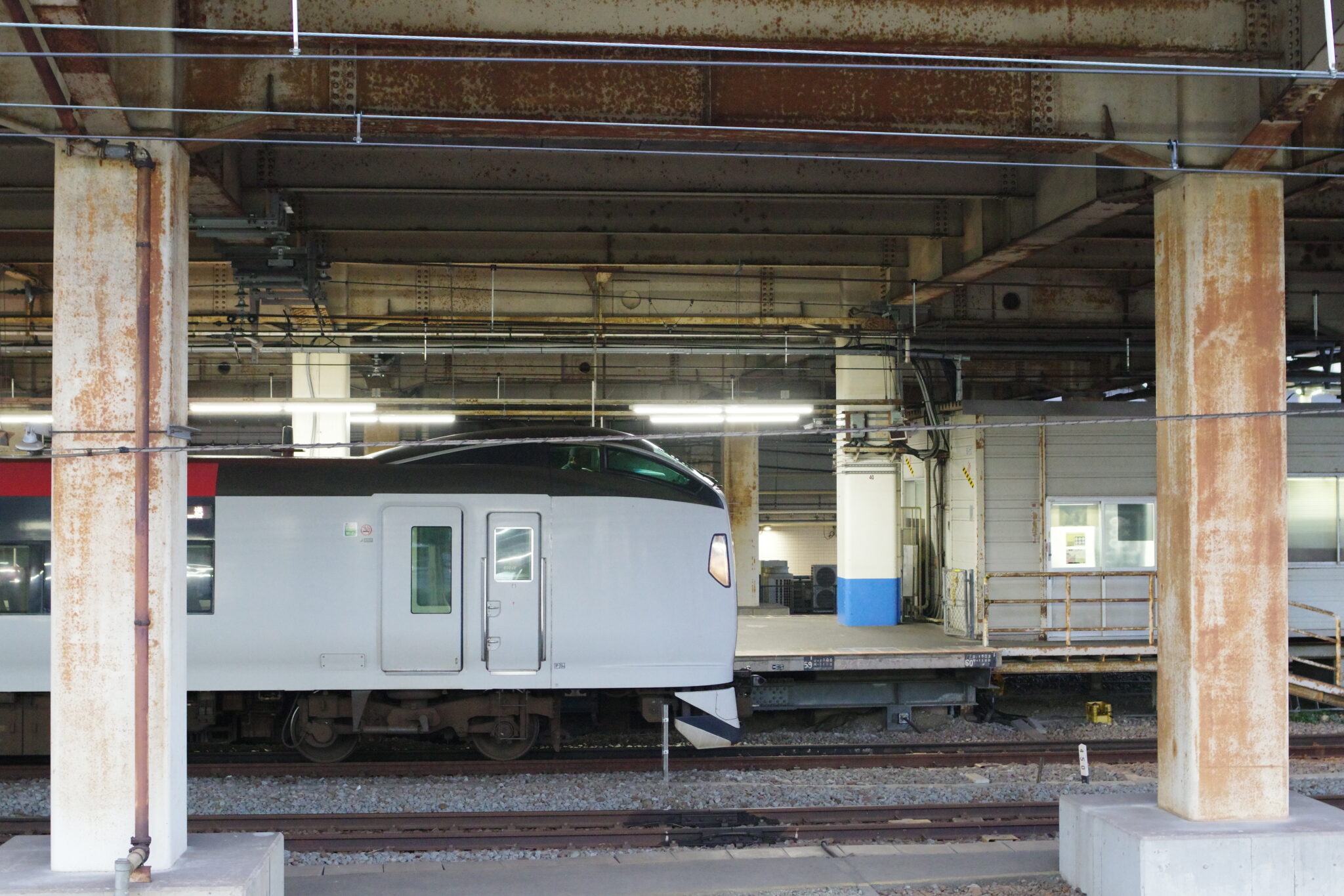 【NEX】E259系成田エクスプレスに乗車｜成田空港→大船